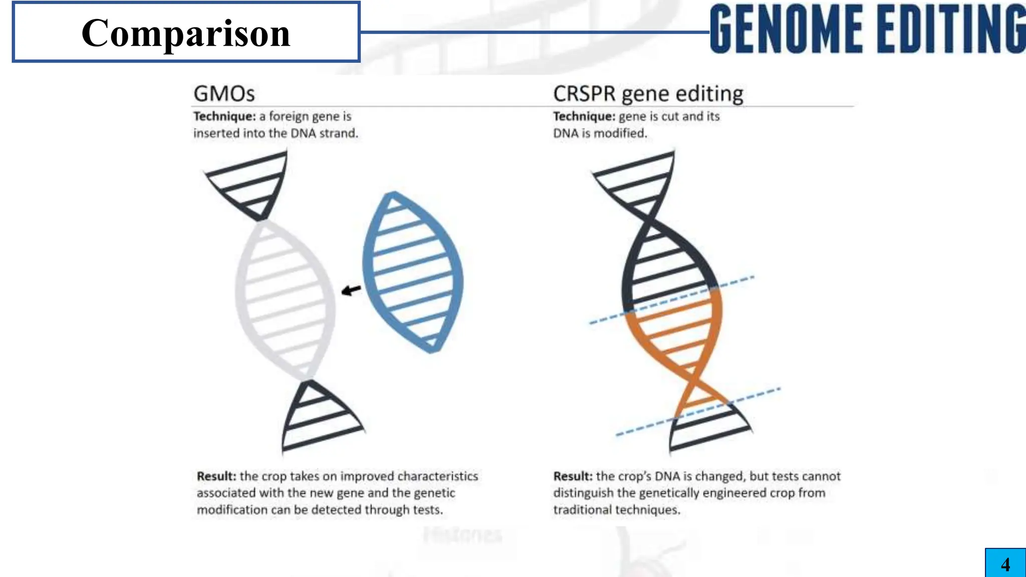 Site specific recombination and Multiplex CRISPR.pptx