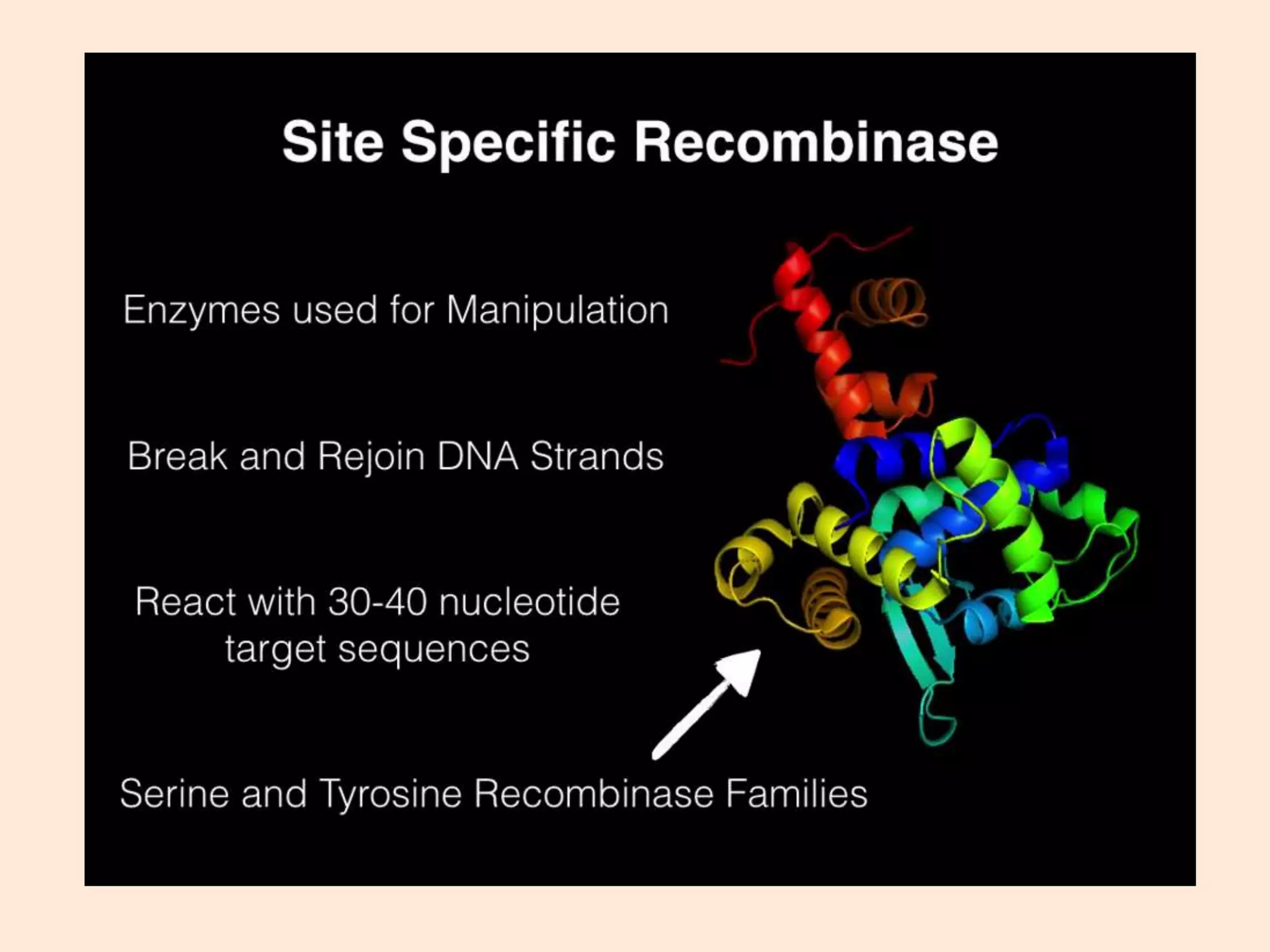 Site specific recombination | PPTX