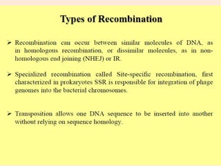 Site specific recombination | PPTX
