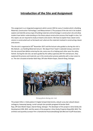 Site visit report 2017 | PDF