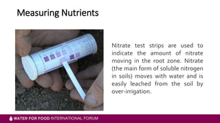 Water for Food International Forum: Increasing Irrigation Water ...