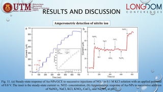 2nd Webinar on Nanotechnology and Nanoscience | PPT