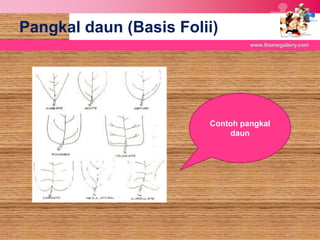 struktur daun | PPTX