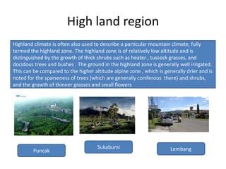 world climate type n definition | PPT