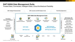 SAP Data Hub – What is it, and what’s new? (Sefan Linders) | PPT