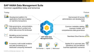 SAP Data Hub – What is it, and what’s new? (Sefan Linders) | PPT