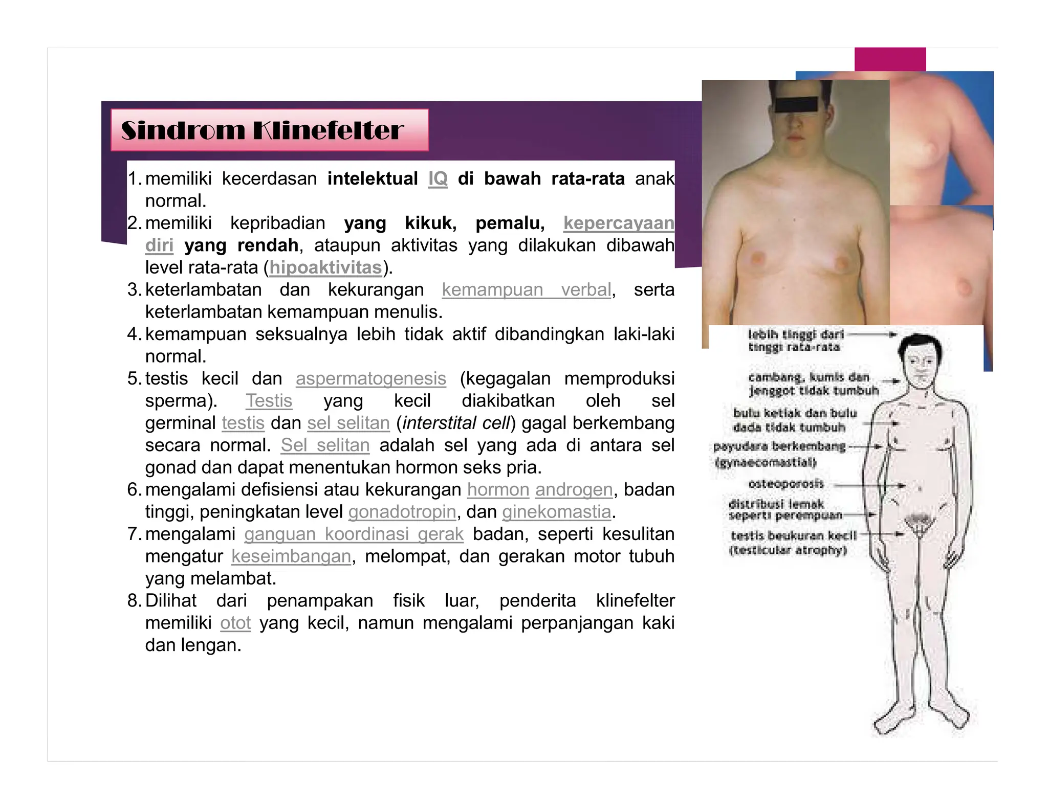 Sitogenetika PErtemuan ke 6-7 tentang struktur kromosom.pdf