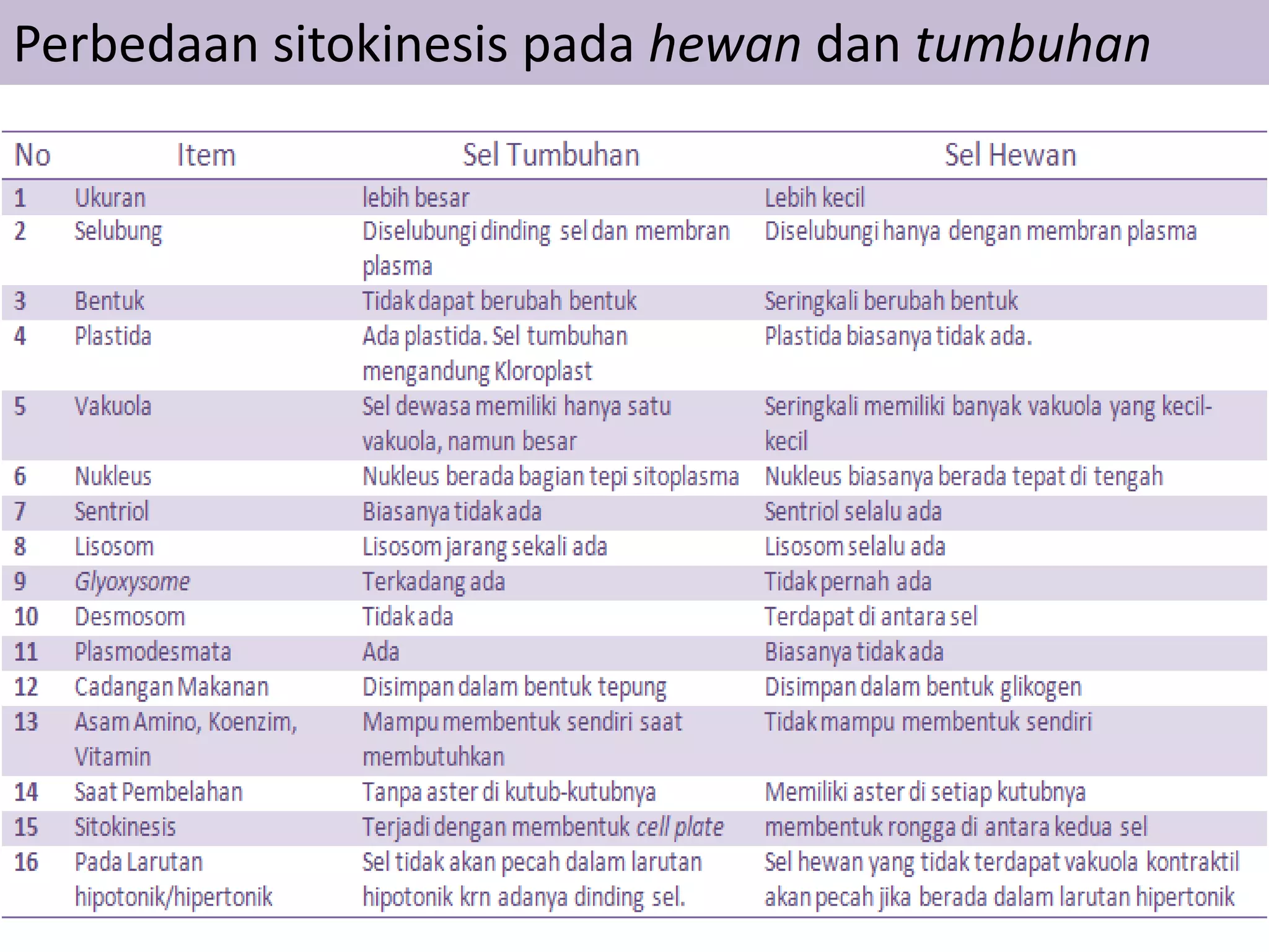 Sitokinesis | PPTX