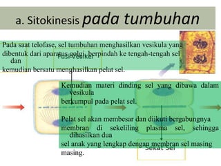 Sitokinesis | PPTX