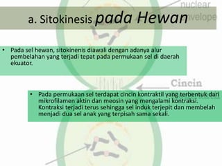 Sitokinesis | PPTX