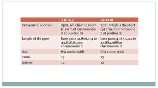 Sitosterolemia | PDF