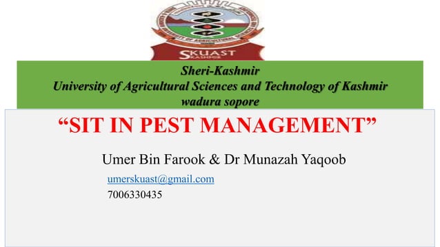 sit presentation.pptx