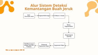 Sitti Najmia Rifai (DETEKSI KEMATANGAN BUAH JERUK MENGGUNAKAN METODE K-MEANS CLUSTERING DAN ...