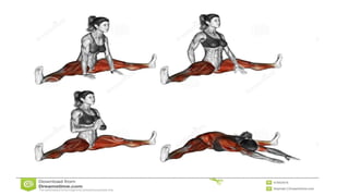 Sitting exercises | PPTX