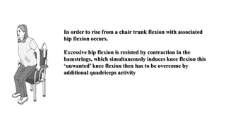 Sitting to Standing Mechanism and Osteoarthritis | PPTX