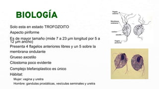 Situacion Clinica | PPTX