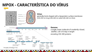 SITUAÇÃO EPIDEMIOLOGICA MPOX.pptx Dados nacional | PPTX