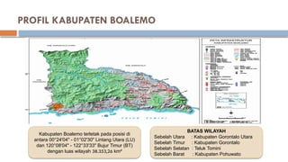 Situasi malaria Kab Boalemo tahun 2024.pptx