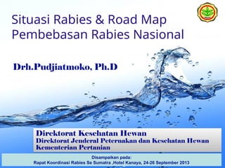 Situasi rabies dan roadmap pemberantasan rabies 2013.pptx