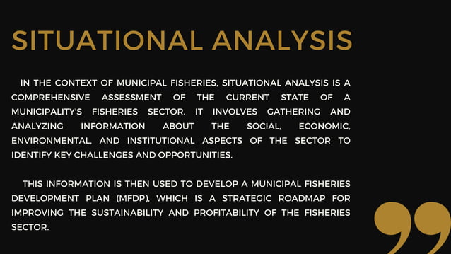 Situational Analysis for Local Disaster Risk And Reduction Management ...