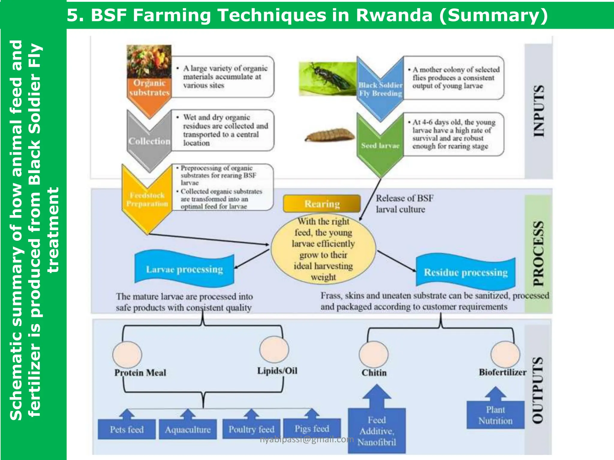 Situation of BSF larva Farming in Rwanda | PDF