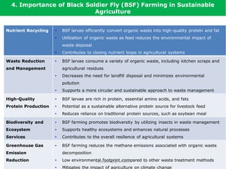 Situation of BSF larva Farming in Rwanda | PDF