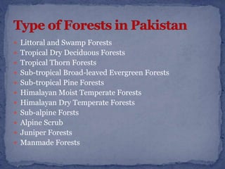 Situation of forests in Pakistan | PPTX