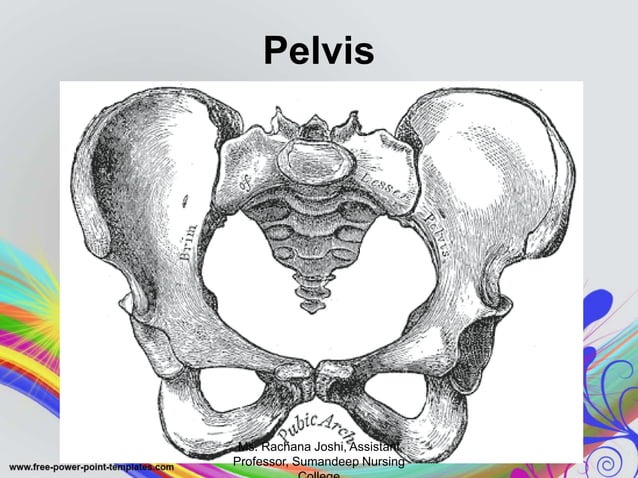 Sitz bath Procedure | PPTX