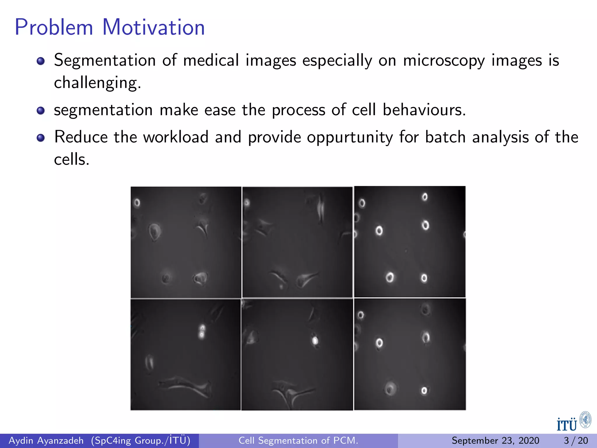 Deep Learning based Segmentation Pipeline for Label-Free Phase-Contrast ...