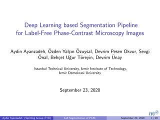 Deep Learning based Segmentation Pipeline for Label-Free Phase-Contrast Microscopy Images | PPT