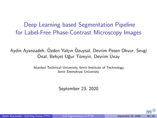 Deep Learning based Segmentation Pipeline for Label-Free Phase-Contrast ...
