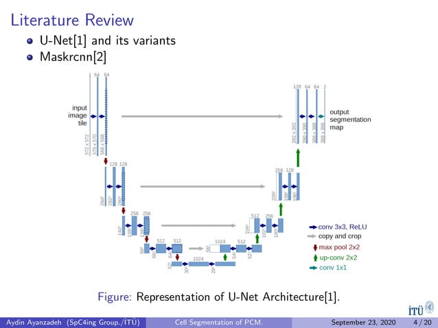 Deep Learning based Segmentation Pipeline for Label-Free Phase-Contrast ...