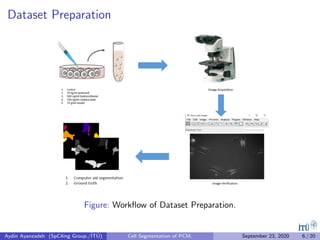 Deep Learning based Segmentation Pipeline for Label-Free Phase-Contrast ...