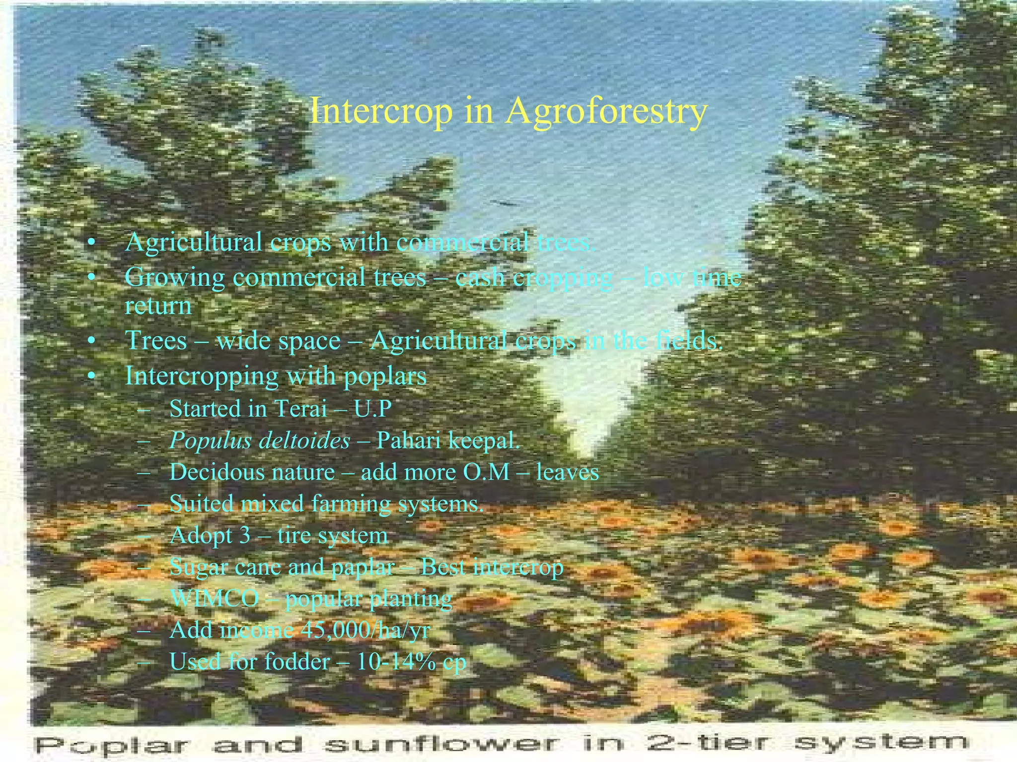 Agroforestry | PPT