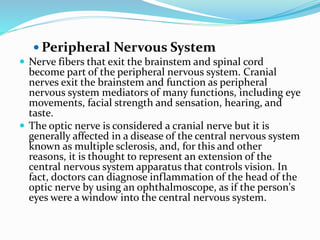 Centeral nervous system | PPTX
