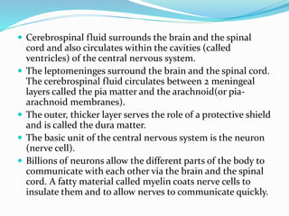 Centeral nervous system | PPTX