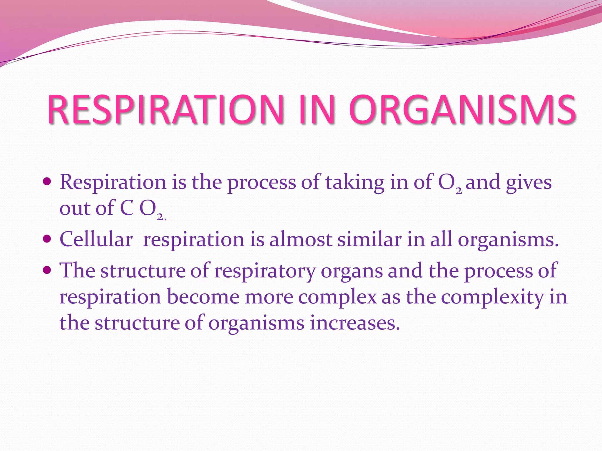 POWERPOINT PRESENTATION | PPTX