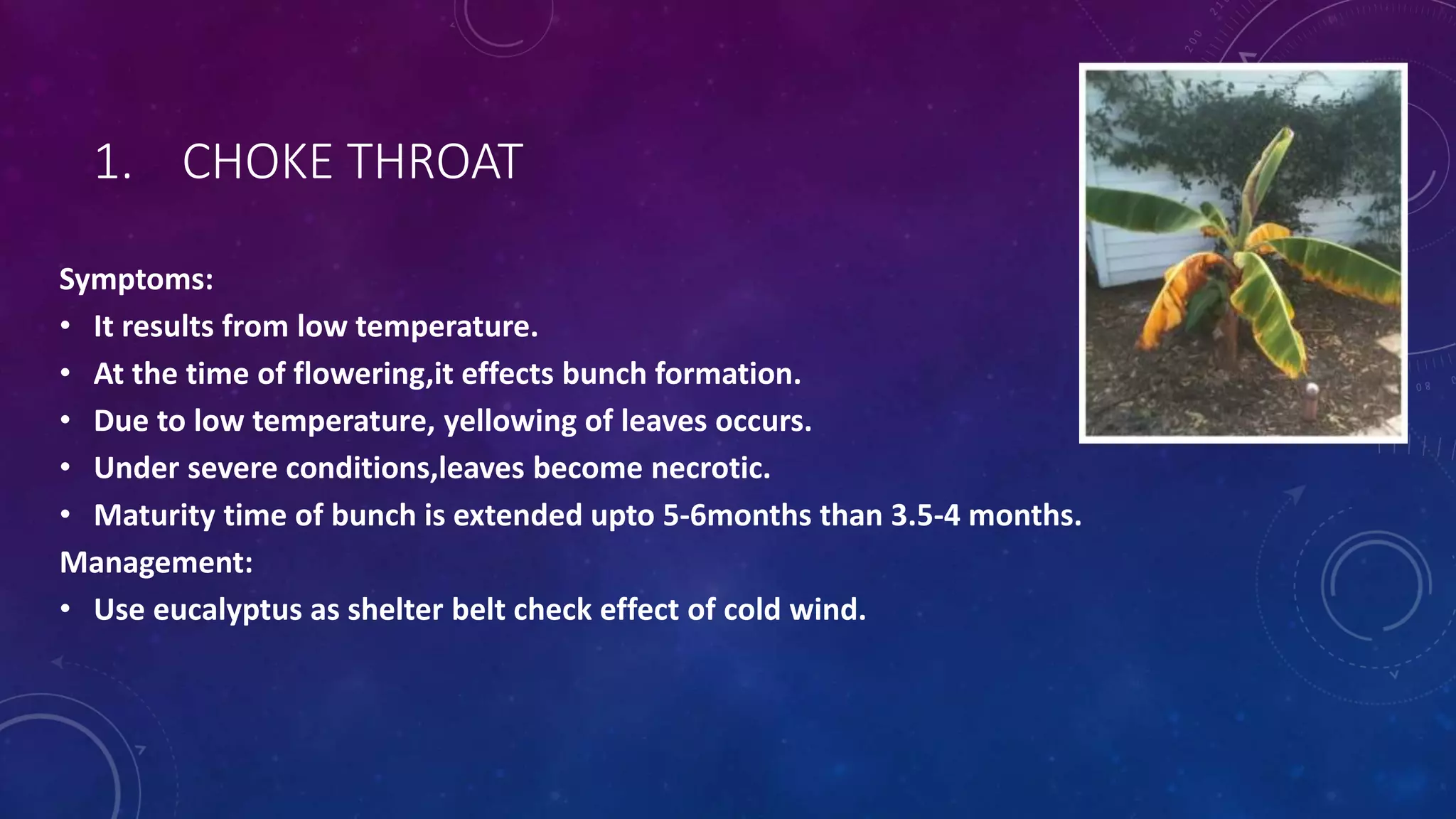 sivasakthi_-_horticulture[1].pptx