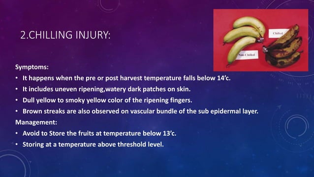 sivasakthi_-_horticulture[1].pptx