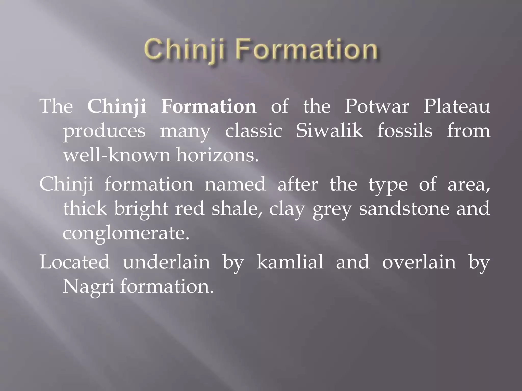 Siwalik hills of pakistan presentation | PPTX