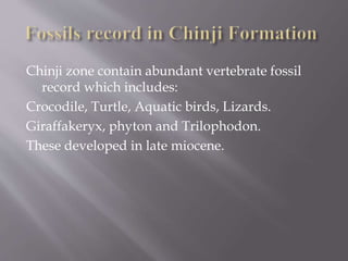 Siwalik hills of pakistan presentation | PPTX