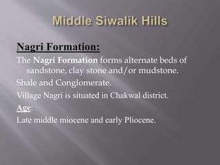 Siwalik hills of pakistan presentation | PPTX