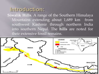 Siwalik hills of pakistan presentation | PPTX