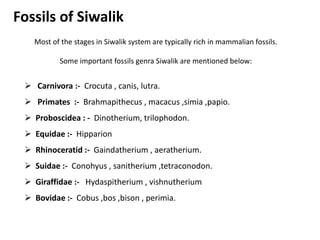 Siwalik supergroup | PPTX