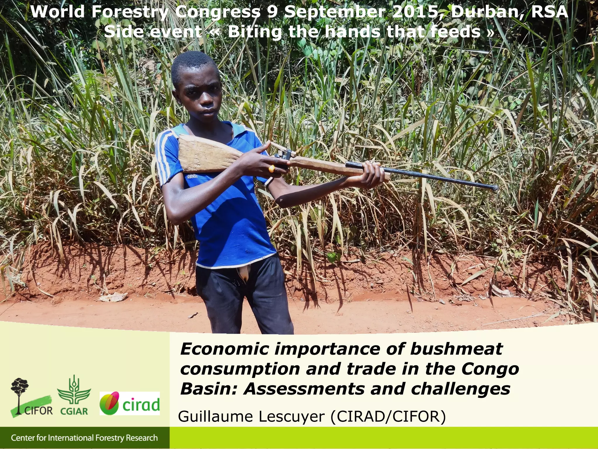 Economic importance of bushmeat consumption and trade in the Congo ...