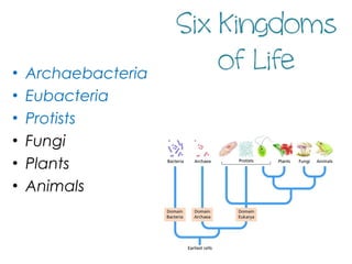 Six-kingdoms-of-life | PPT