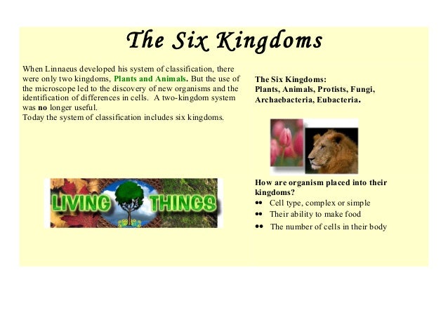 Six kingdoms
