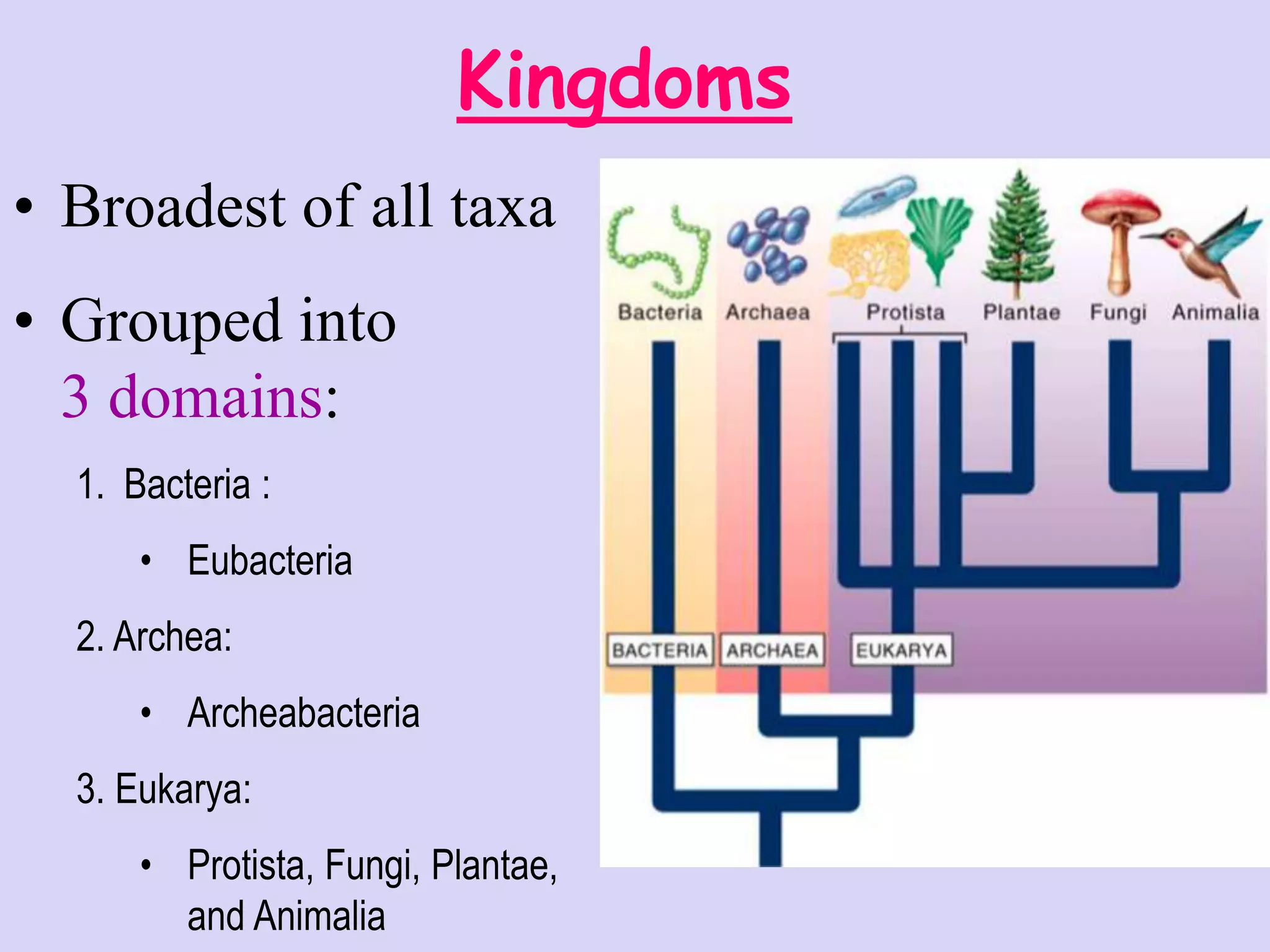 Six kingdoms | PPTX