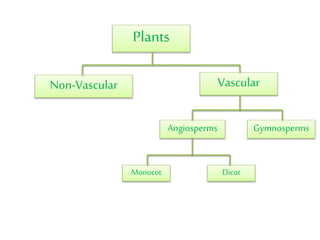 Six kingdom schemes of living organisms | PPTX