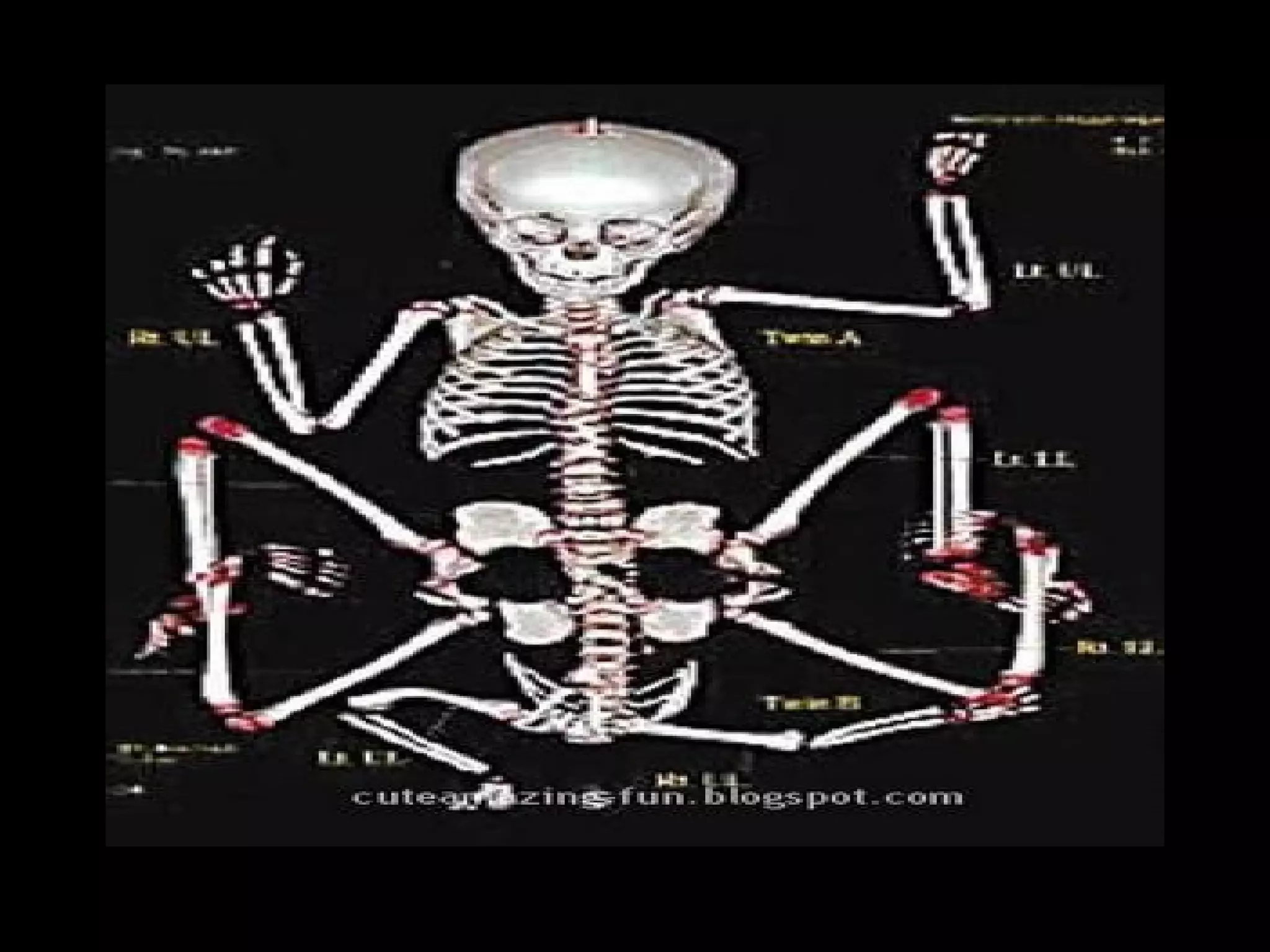 Six limbed child lakshmi | PPT